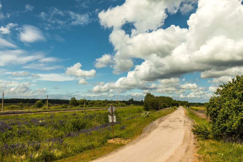 A Road Running through the Green Meadows Stock Photo - Image of grass ...