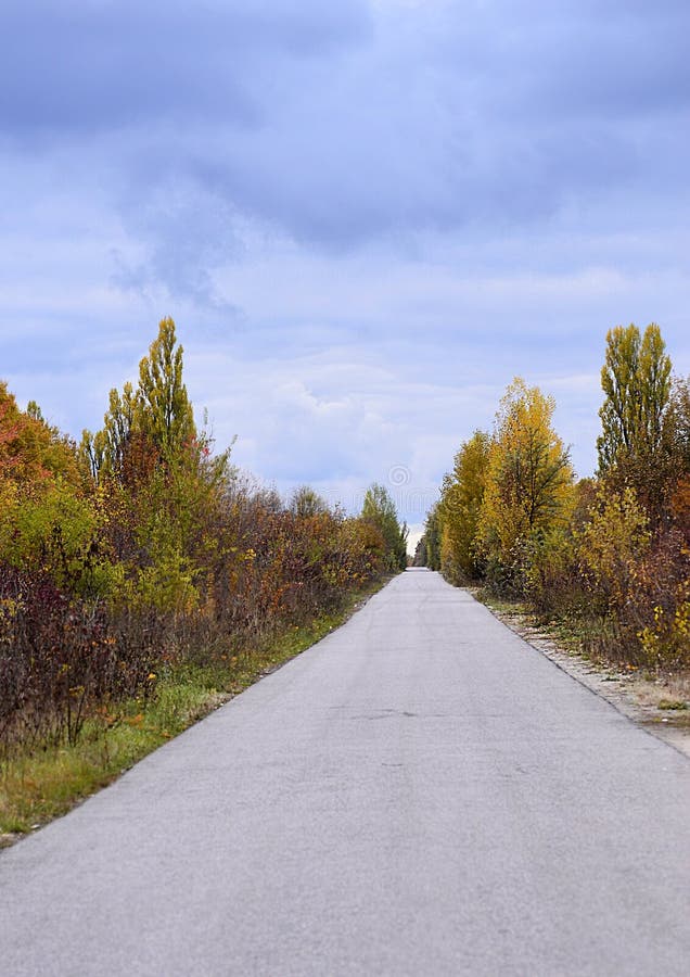 Road in rural area. stock photo. Image of travel, horizontal - 61529178