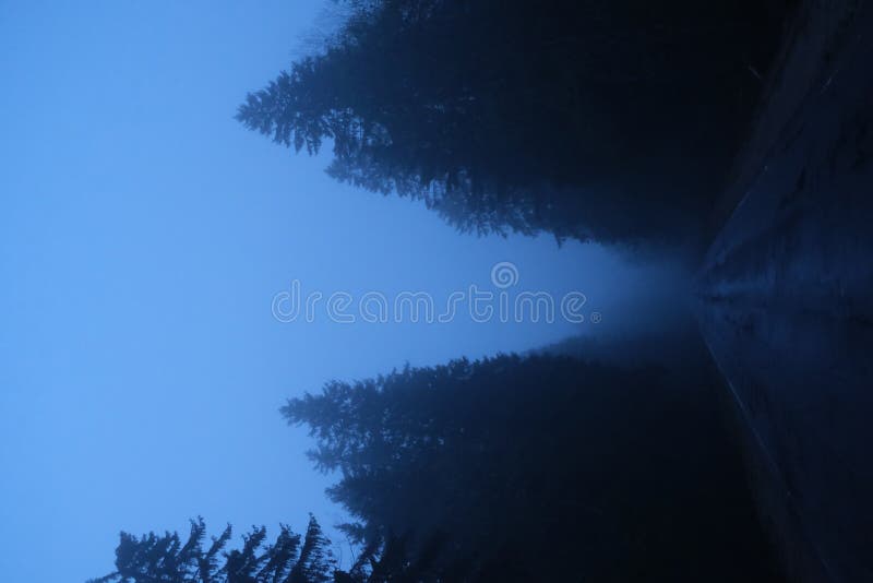 Road in a Scary Dark Forest Stock Photo - Image of rain, ground: 219819514