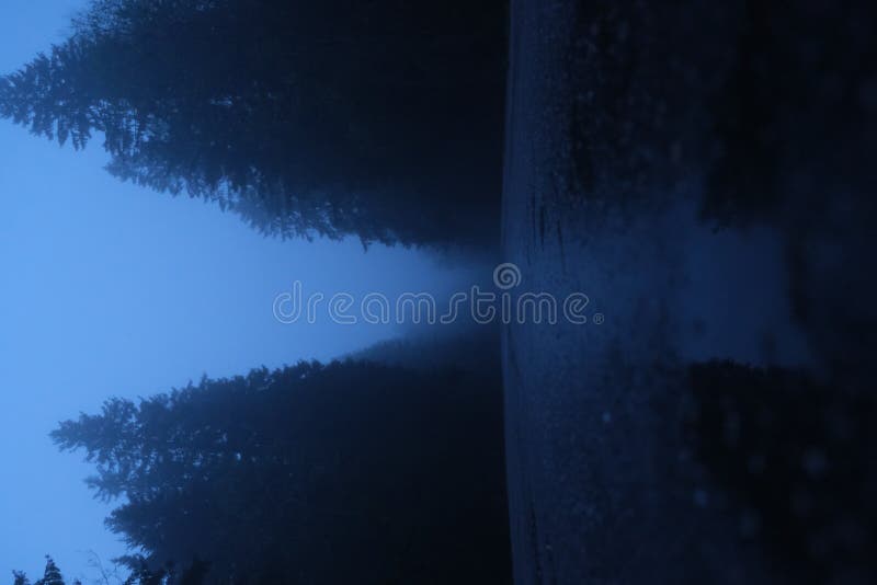 Road in a Scary Dark Forest Stock Image - Image of mist, darkness ...