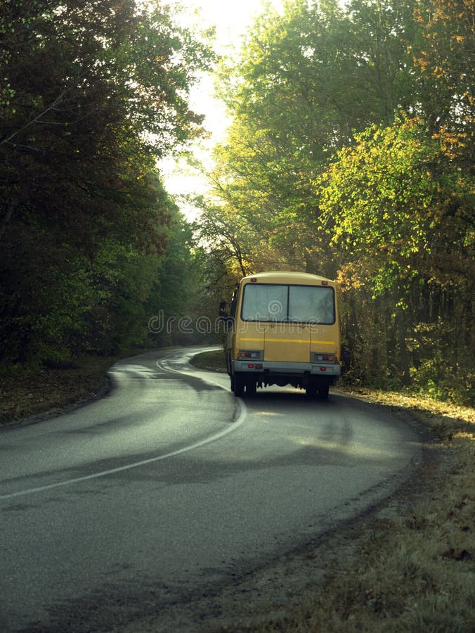 Road with School Bus in Beautiful Summer Forest Stock Image - Image of ...