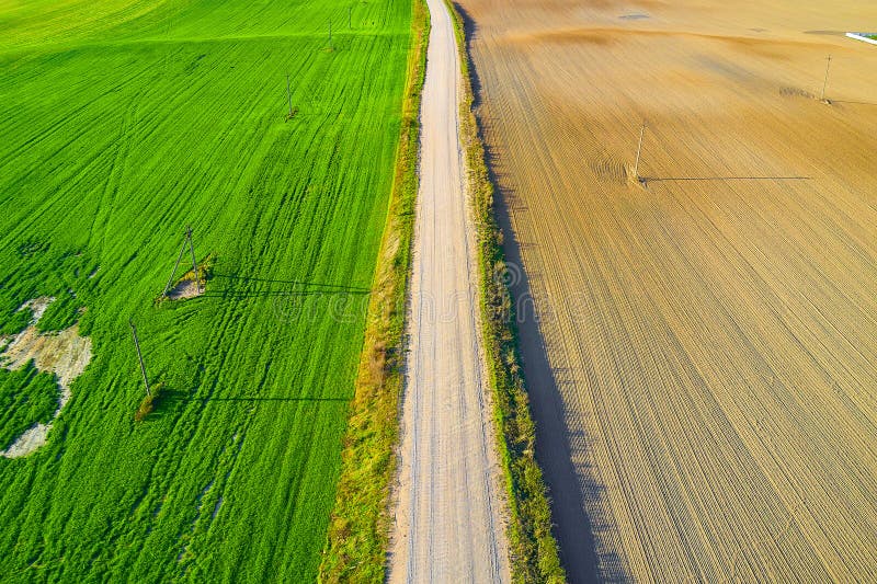 The Road Separates Two Beautiful Saturated Fields. Agricultural ...
