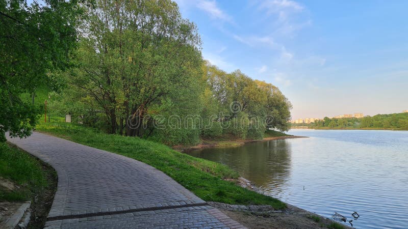 Road on the shore stock image. Image of canal, pond - 219130411