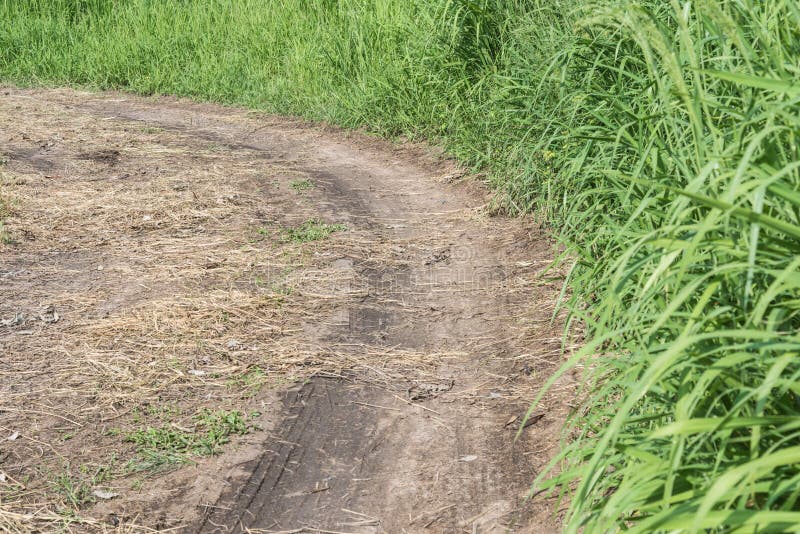 Road side grass stock photo. Image of view, road, travel - 127439108