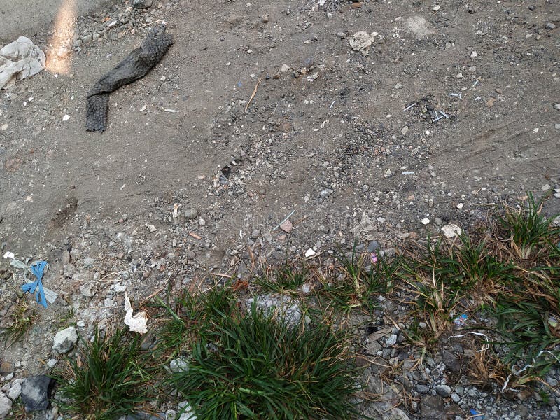 Sand and Small Stones on Natural Beach Stock Photo - Image of shallow ...