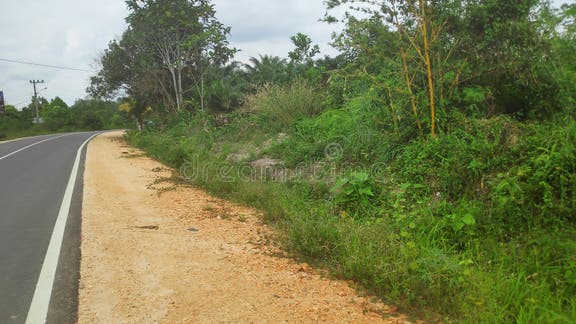 Road Side, Perawang, Indonesia Stock Photo - Image of forest, woodland ...