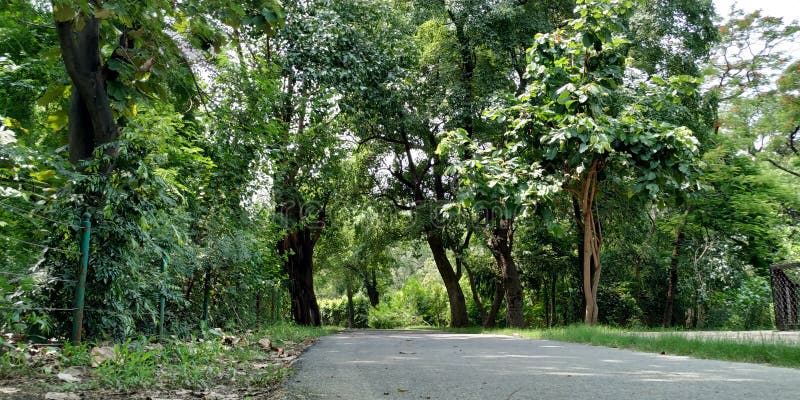 Road side view stock photo. Image of evening, color - 156613332