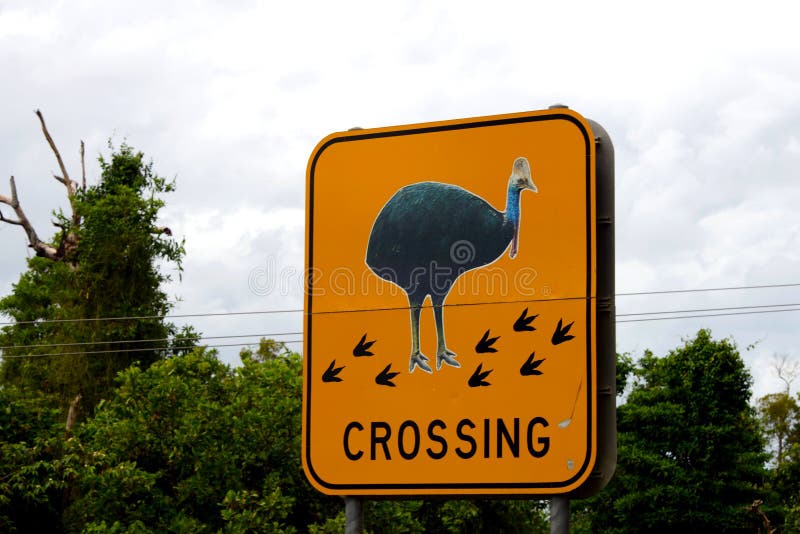 Cassowary Warning Sign In Queensland Australia Stock Photo - Image of ...