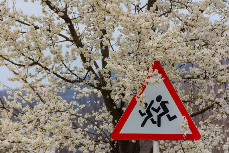 Road sign stock photo. Image of bloom, tree, signpost - 52104860