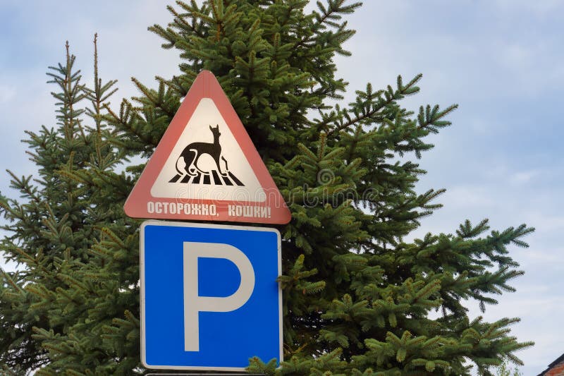 Road Safety Sign Cat Crossing Stock Photos - Free & Royalty-Free Stock ...