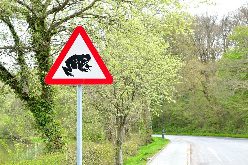 Road Sign - Caution Frogs on the Road 1 Stock Photo - Image of road ...