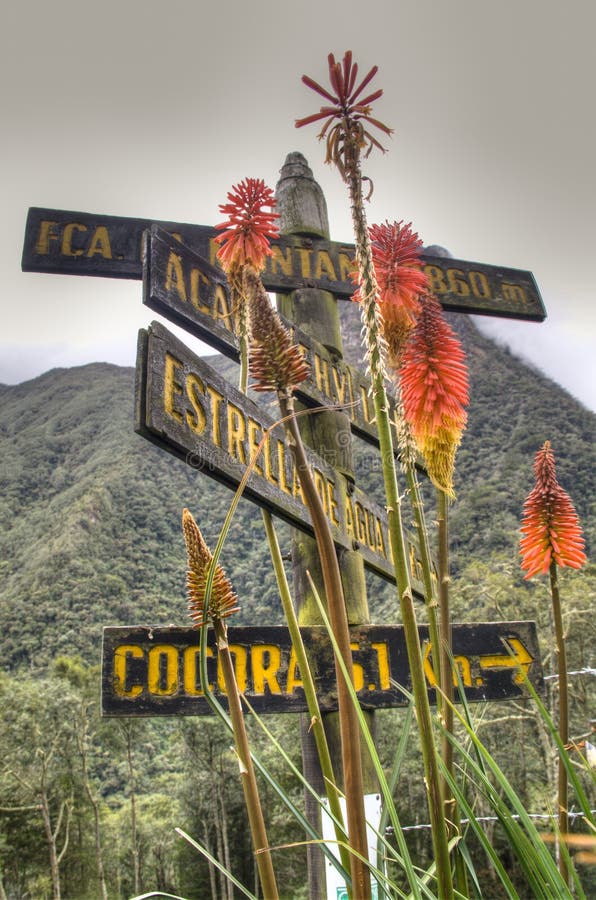 Road sign at the Cocora valley. Road sign at the valley of Cocora near ...