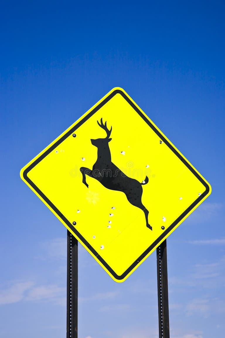 427 Deer Crossing Road Sign Stock Photos - Free & Royalty-Free Stock ...