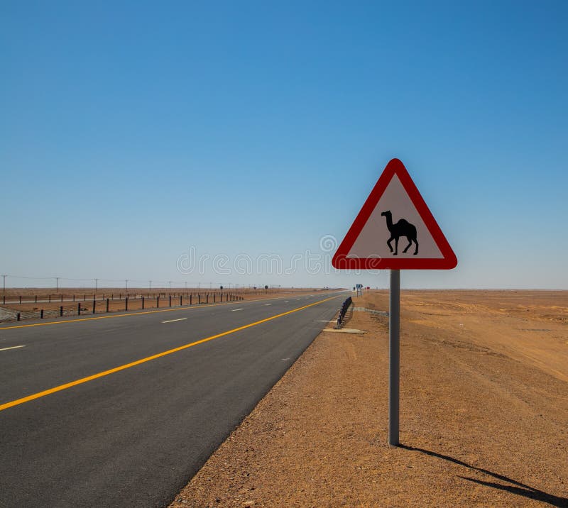 Road Sign with Dromedary, Oman Stock Photo - Image of sultanate, sand ...