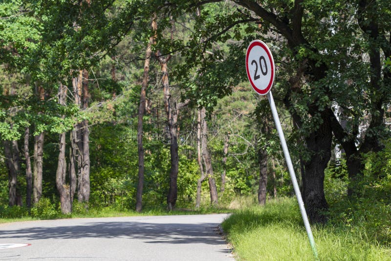 Road sign in the forest. stock photo. Image of signage - 253812224