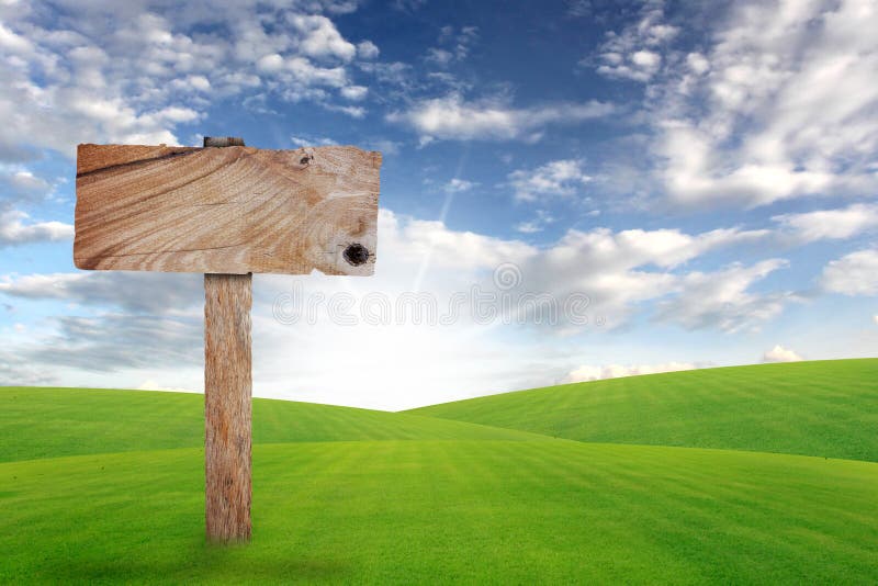 Road Sign with Green Grass and Blue Sky Stock Image - Image of blank ...