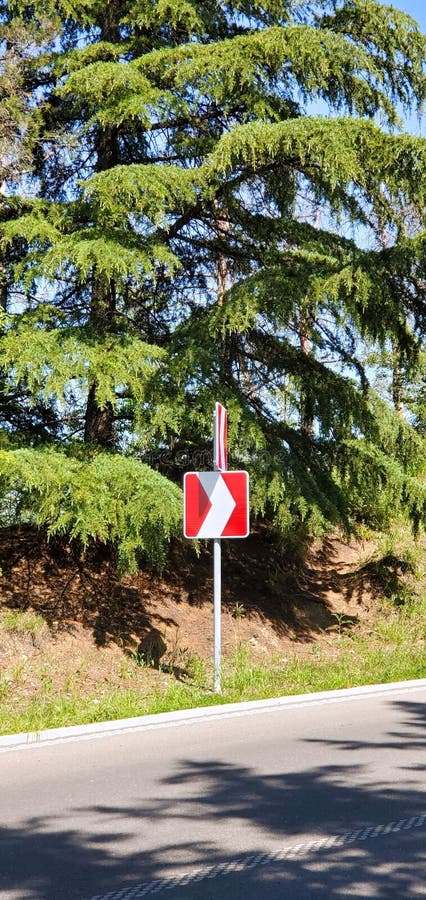 Sharp Turn Ahead in Nature’s Path Stock Image - Image of autumn, leaf ...