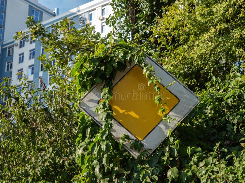 125 Overgrown Traffic Sign Stock Photos - Free & Royalty-Free Stock ...