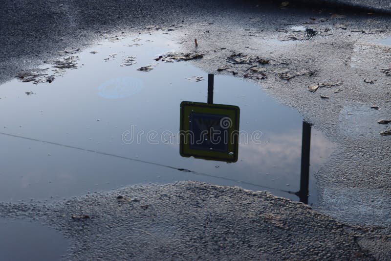 Road Sign, Pedestrian Crossing in the Reflection of a Puddle Stock ...