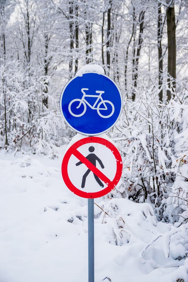 Road Sign Pedestrian Path is Prohibited, only Driving is Allowed, on a ...