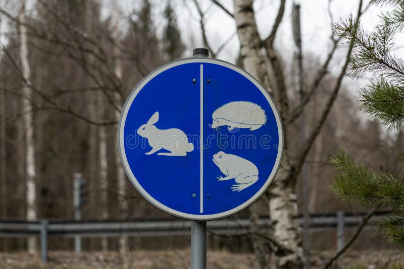Road Sign with Rabbit, Frog and Hedgehog Stock Image - Image of ...