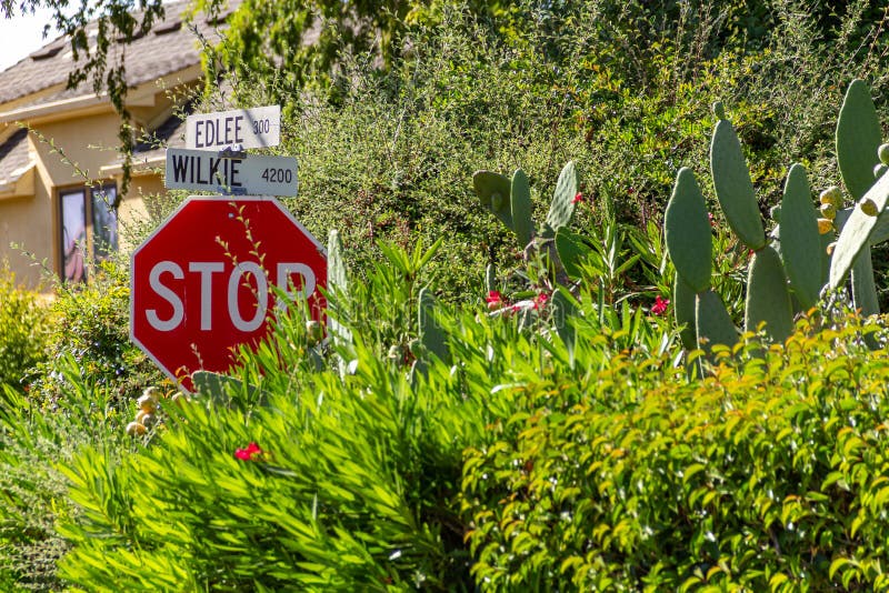 Road Sign Stop in the Bush. Road Caution Concept Stock Photo - Image of ...