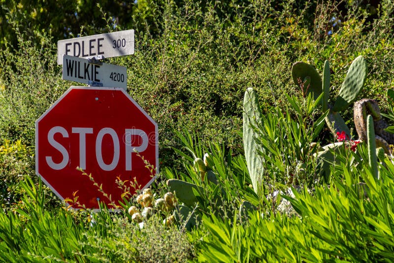 Road Sign Stop in the Bush. Road Caution Concept Stock Photo - Image of ...