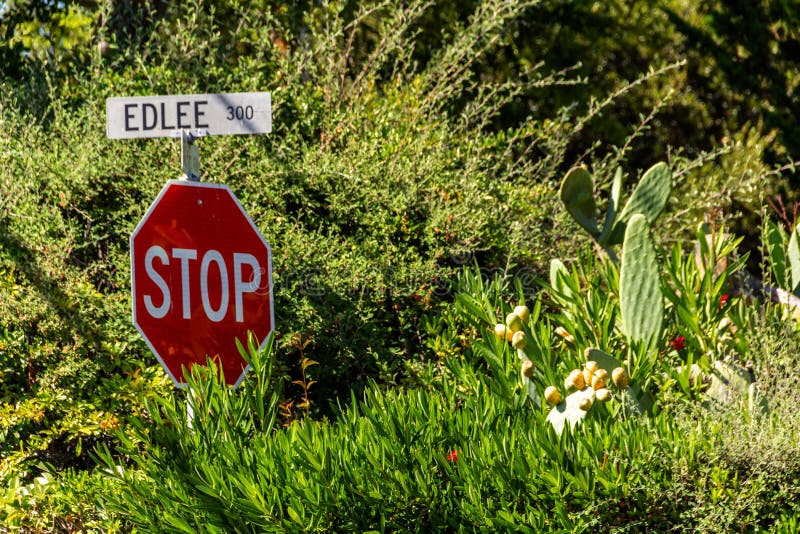 Road Sign Stop in the Bush. Road Caution Concept Stock Image - Image of ...
