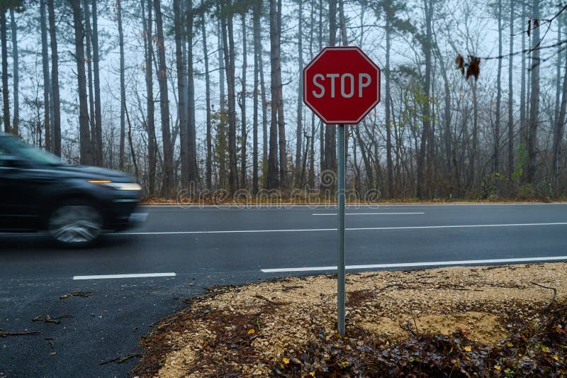 Road Sign Stop at the Forest Road in the Fog Stock Photo - Image of ...