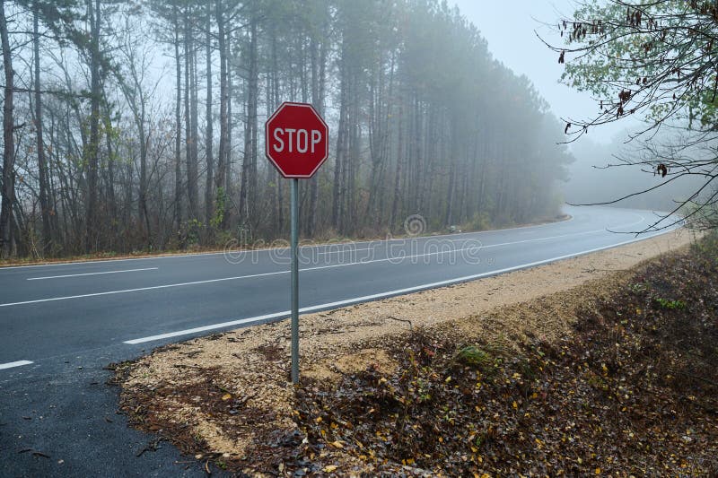 Road Sign Stop at the Forest Road in the Fog Stock Photo - Image of ...
