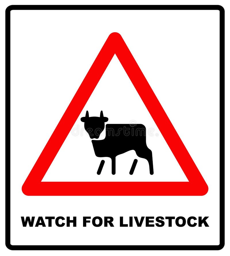 Road Sign Warning Livestock Movement on White Background Stock Vector ...
