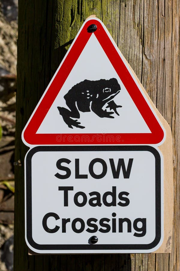 A Toad Sign stock photo. Image of toads, type, europe - 179400206