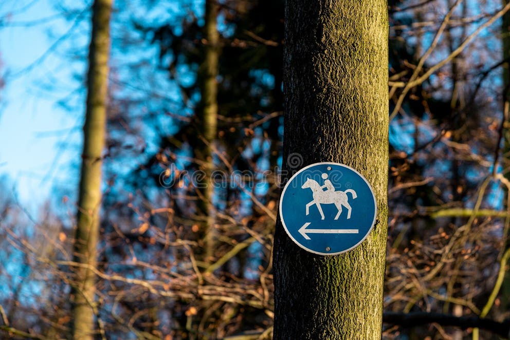 Road Sign Way for Equestrian.riders Mounted in a Forest Stock Photo ...