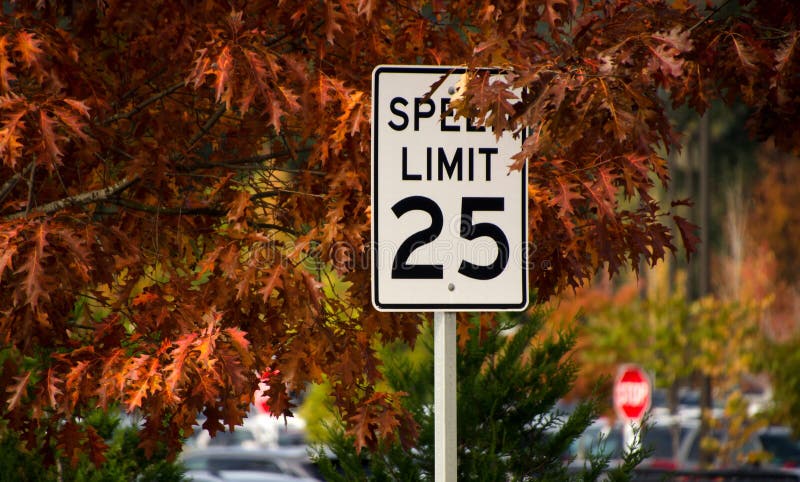 Road Signs Under Fall Oak Foliage Stock Photo - Image of campus, stop ...