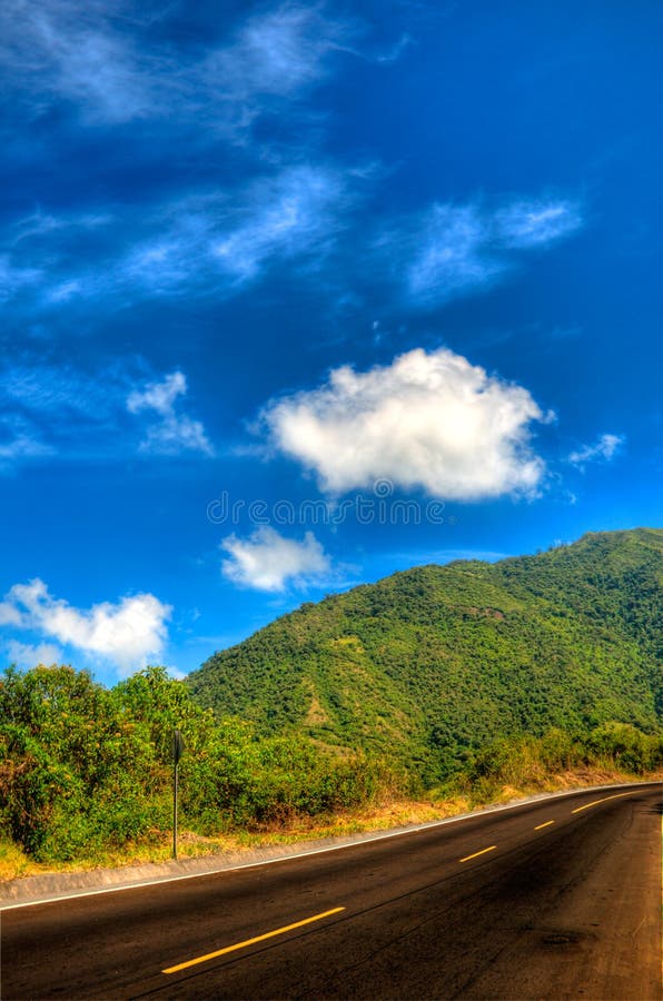 Beautiful Meadow and Dirt Road Stock Photo - Image of beautiful ...