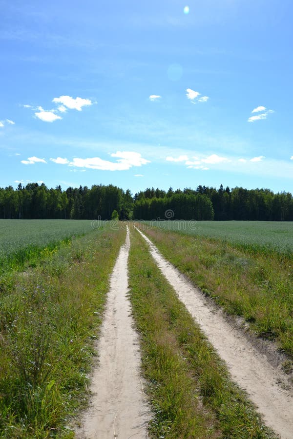 Road, Sky, Field, Path Picture. Image: 128440284