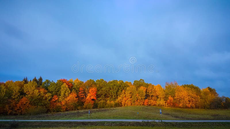 Road Near Forest at Sunrise Light Stock Image - Image of road ...
