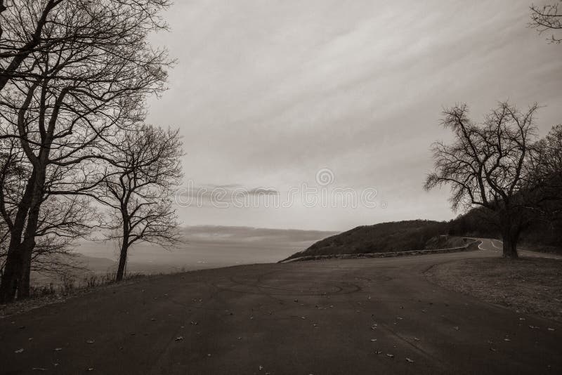 Road, Trees and Sky in Sepia Stock Photo - Image of sepia, effect ...