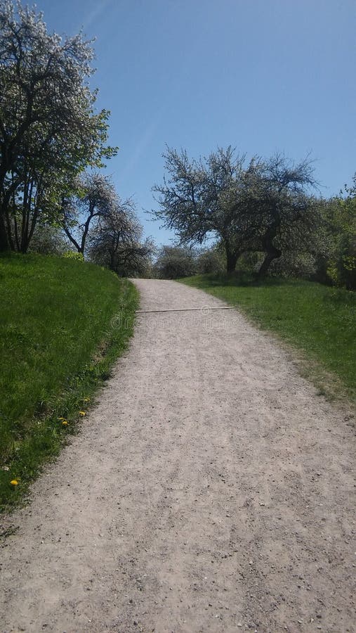 Road stock photo. Image of small, road, nature, hill - 117868380