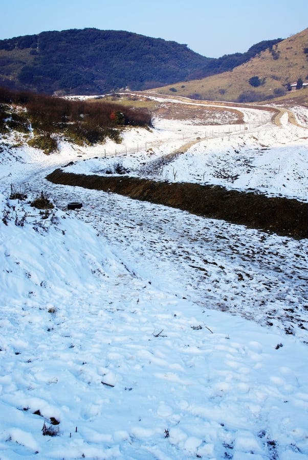 Road with snow stock photo. Image of snow, tree, winter - 14298924