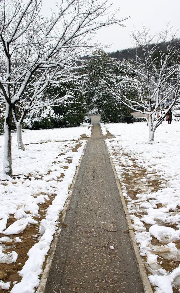 Road in snow stock photo. Image of season, snow, beeline - 3874912