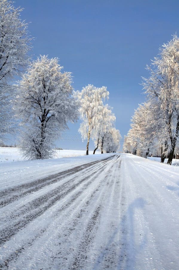 Road in snow stock photo. Image of road, snow, birch, lithuania - 8273068