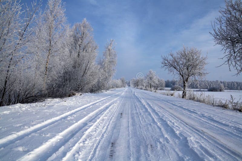 Road in snow stock photo. Image of pine, birch, shiny - 8273080