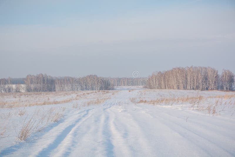 The Road on Snow. Snow Road. the Road Across the Field in Snow Stock ...