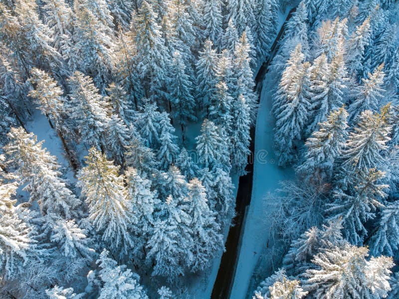 Road in Snow Covered Forest, Top Down Aerial View Stock Image - Image ...