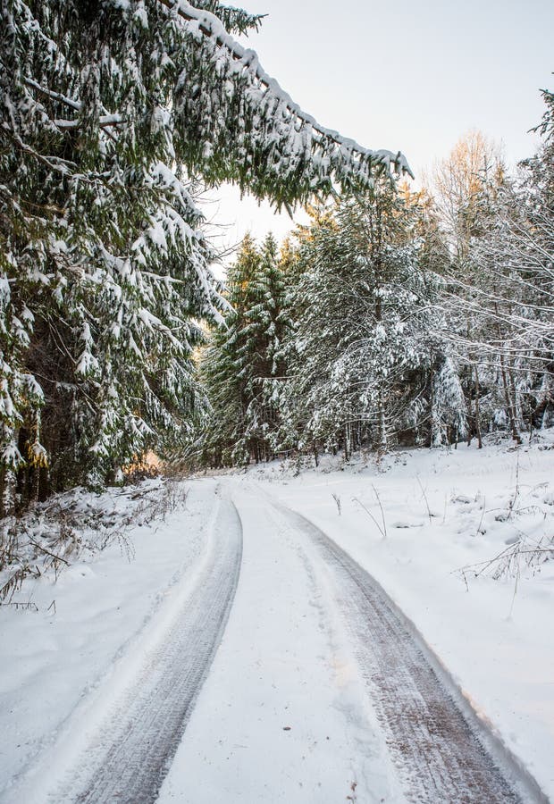 Road with snow stock image. Image of motion, cold, scene - 182159677