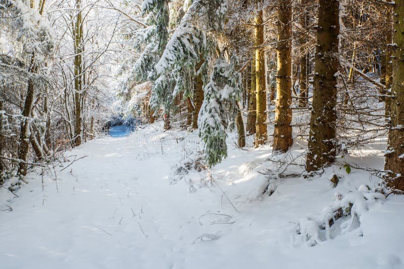Road with snow stock photo. Image of cold, road, snow - 182160690