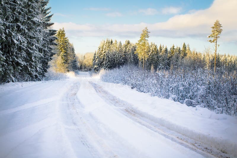 Road with snow stock image. Image of spruce, scenery - 35992673