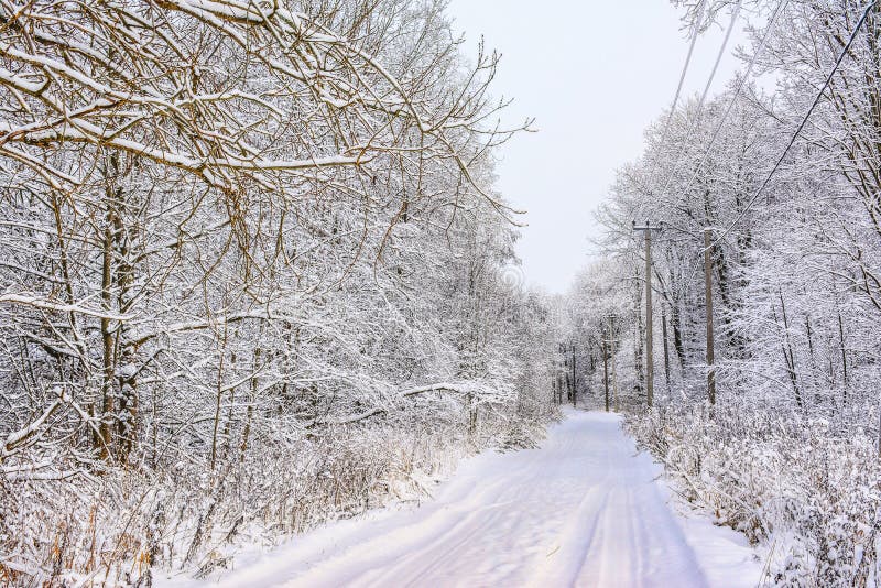 Snowy December in the City. Stock Photo - Image of metropolis, winter ...