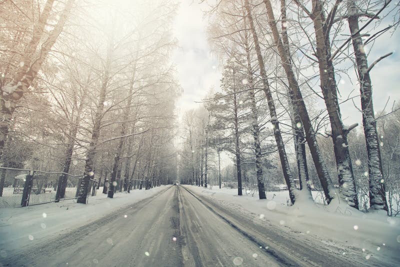 Road in the Snowy Storm Winter Stock Image - Image of natural, scene ...